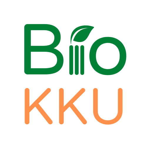 Departments – SCiKKU | คณะวิทยาศาสตร์ มหาวิทยาลัยขอนแก่น